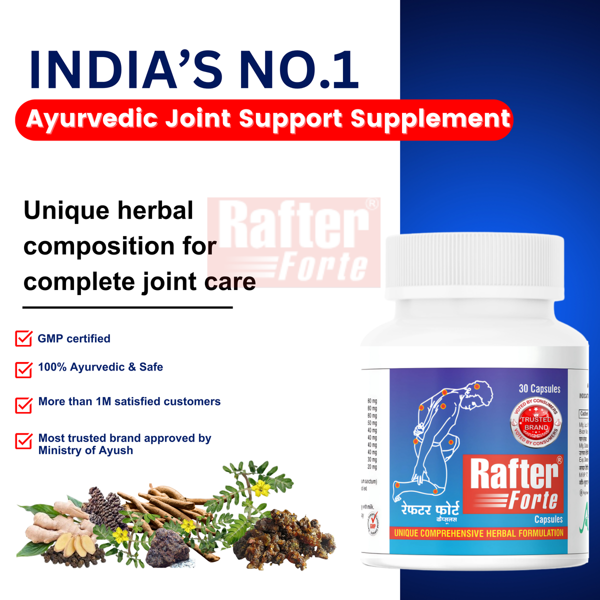 RAFTER FORTE capsules- ayurvedic joint pain supplement 500mg – Ayusea ...